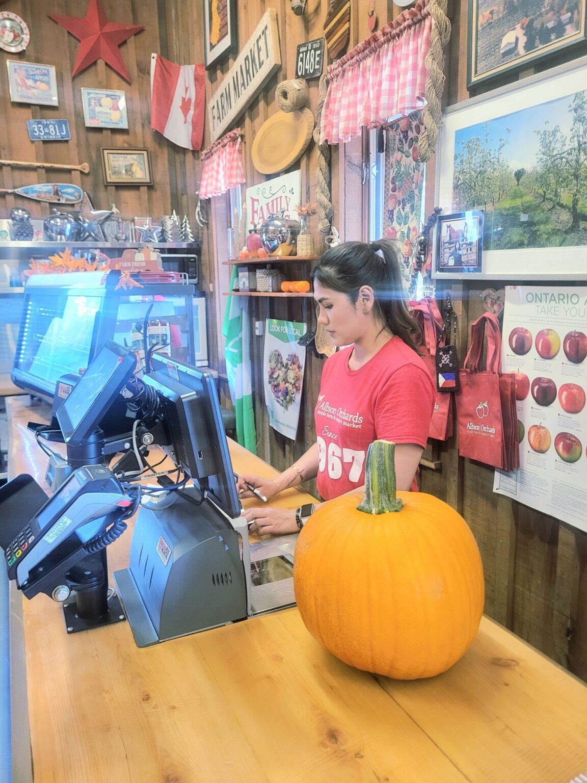 Apple Picking Toronto | Pumpkin Patch | Albion Orchards